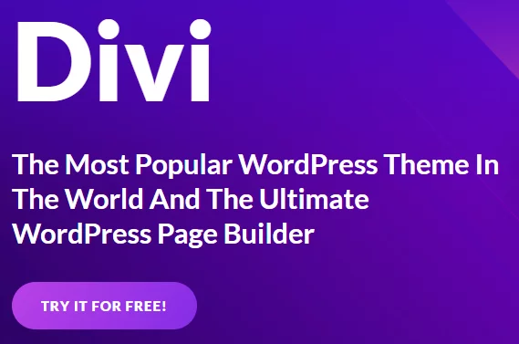 A Guide to Pick the Best Divi Theme Templates for Your Blog